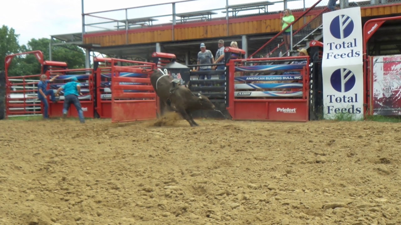 Davis Rodeo & D&H Cattle 6x3 - YouTube