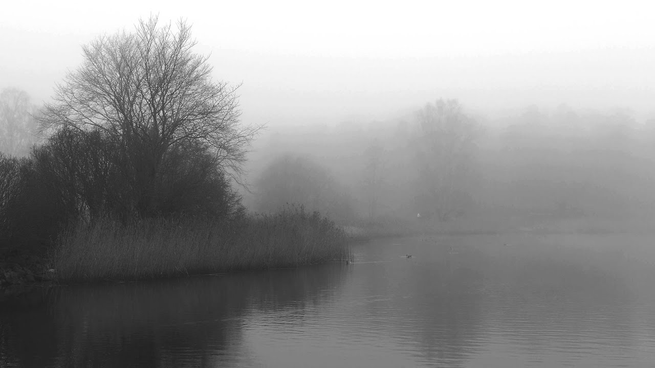 Grey November by the Djurgårdsbrunnsviken lake central Stockholm 2160p ...