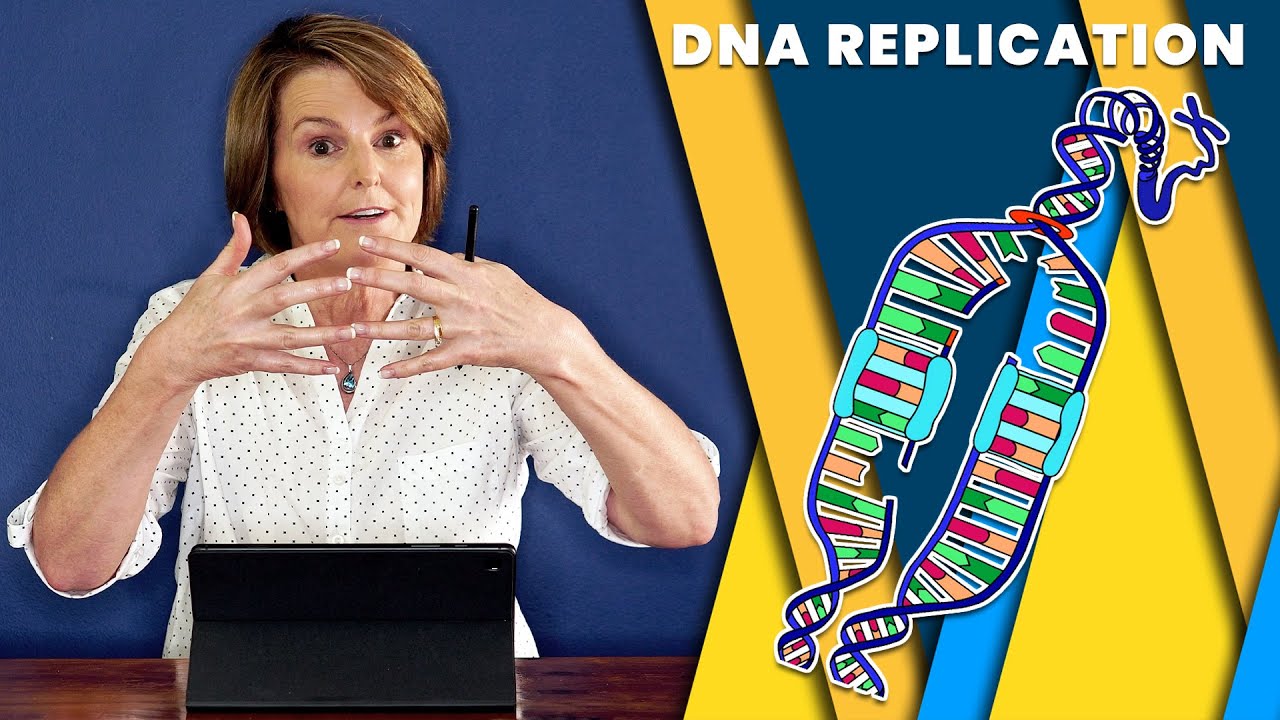 Life Sciences DNA Replication | DNA Part 2 | Grade 12 | 2021 - YouTube