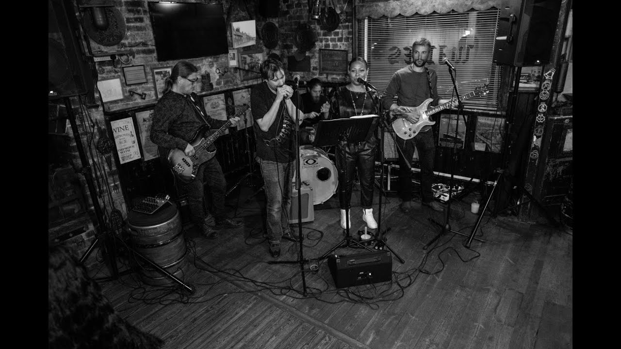 Goin Down performed by The Alex Wilson Blues Band - YouTube