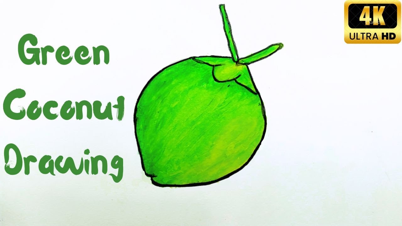 Green Coconut Drawing🔥🔥 - YouTube