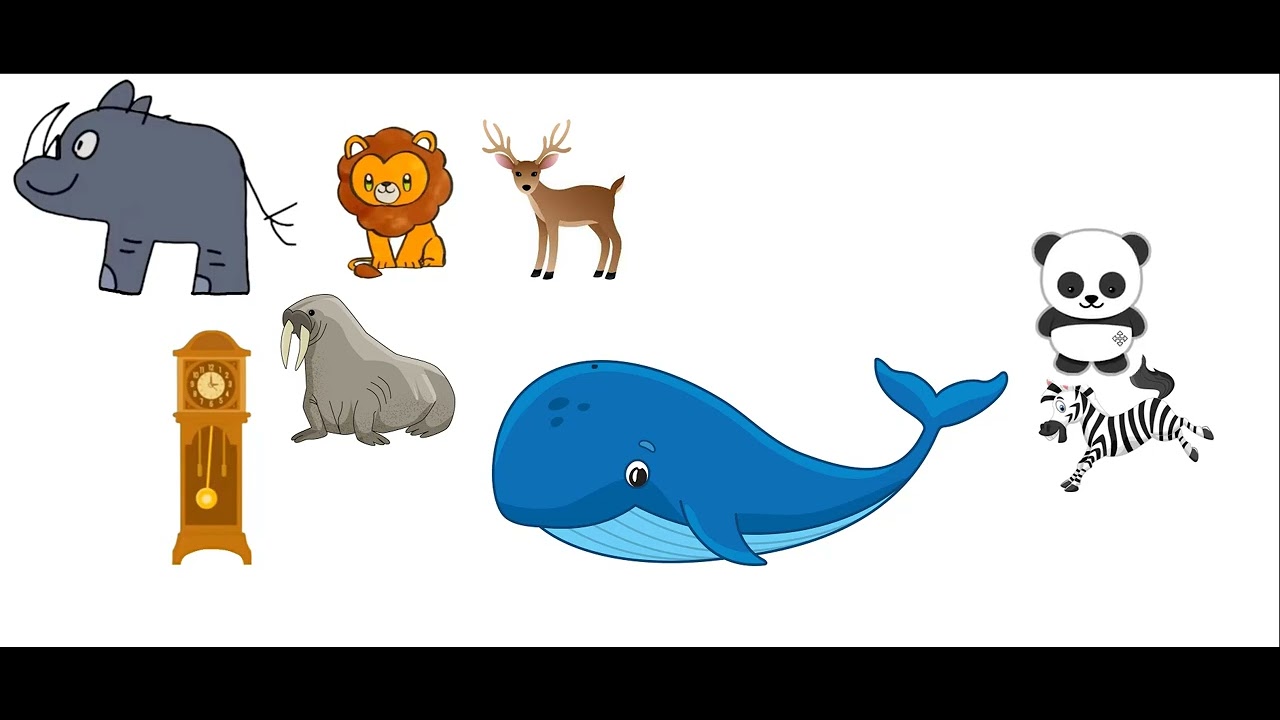 Hickory Dickory Dock Whale 🐳 - YouTube