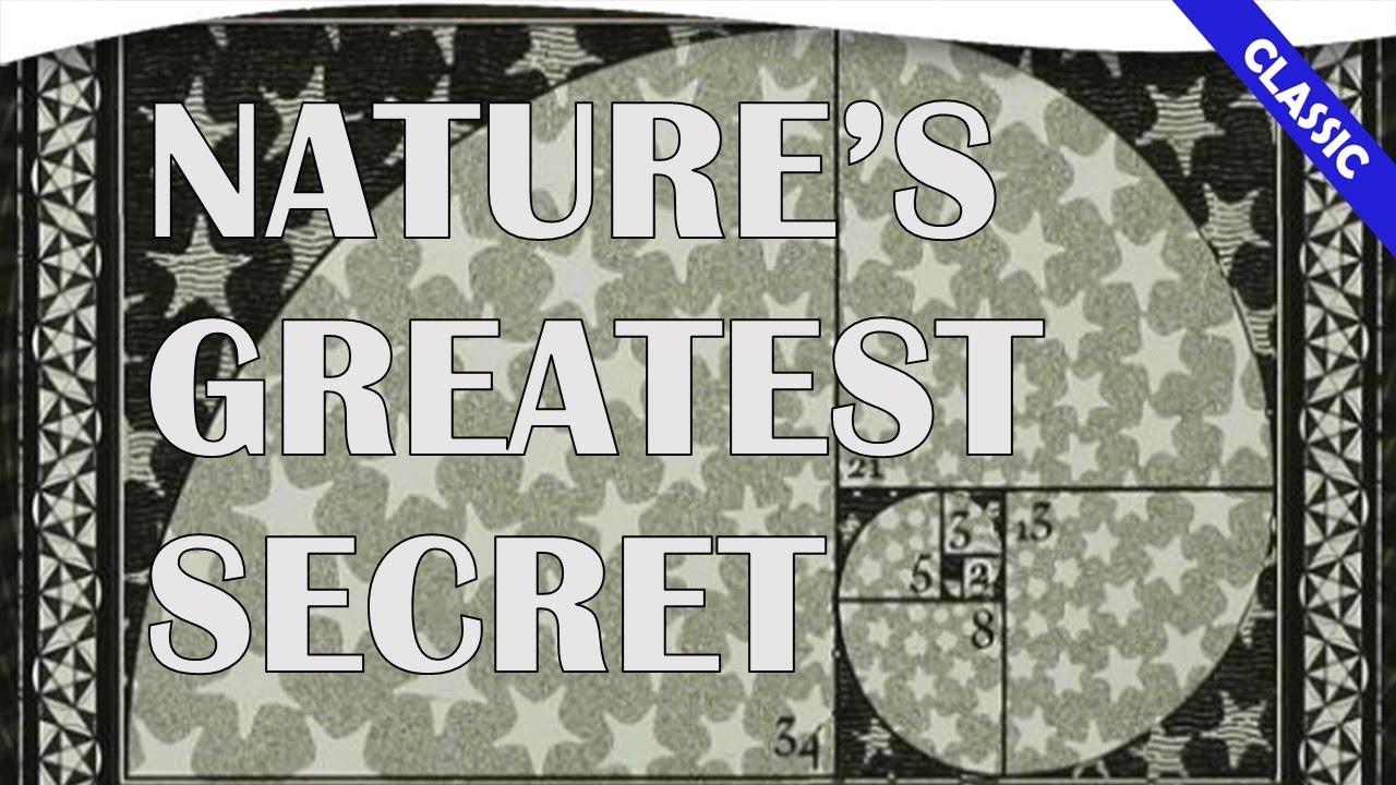 The Golden Section: Nature's Greatest Secret with Scott Olsen ...
