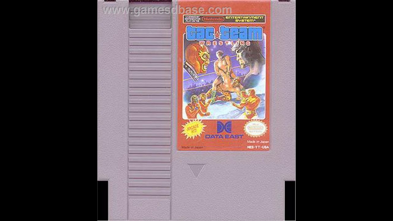 THE Worst NES Game Ever Made: Tag Team Wrestling Review - YouTube