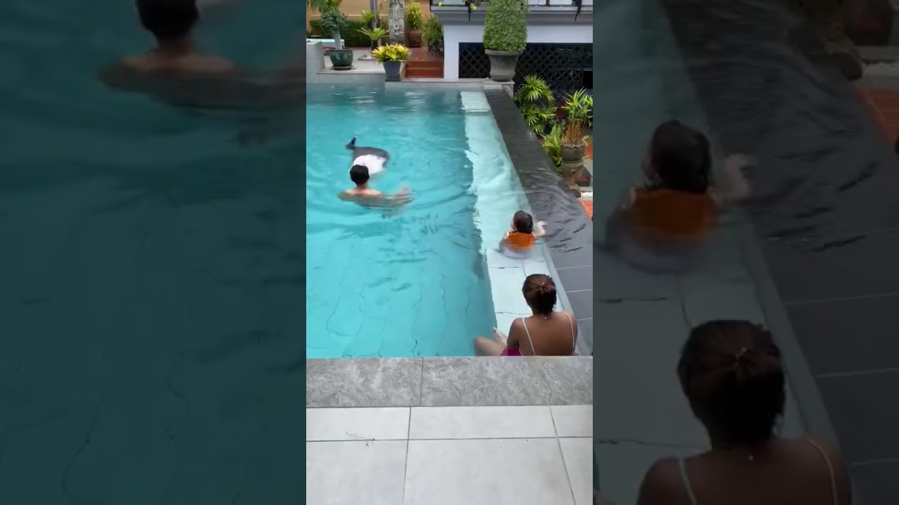 Bobo is swimming with the master #2 - YouTube