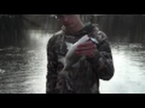 White Bass Rig And Some White Bass Off Rattle Traps - YouTube