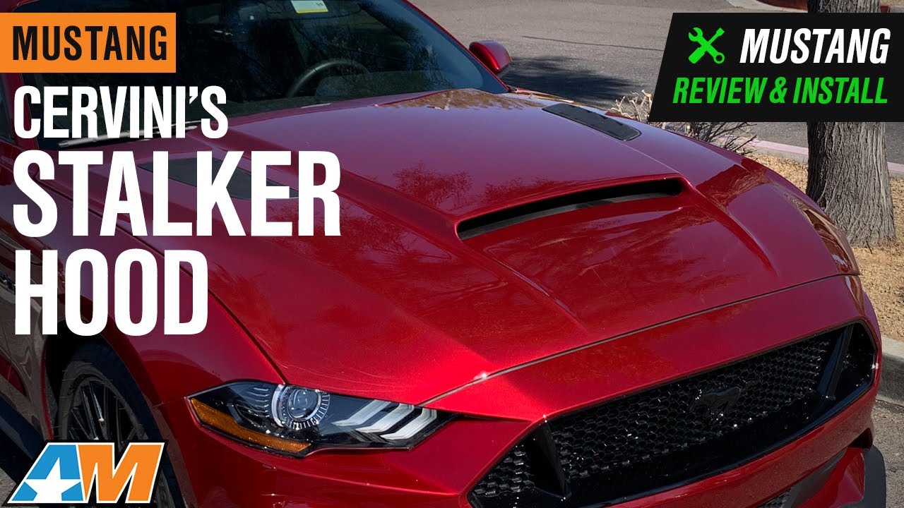 2018-2020 Mustang Cervini's Stalker Hood; Unpainted Review & Install ...