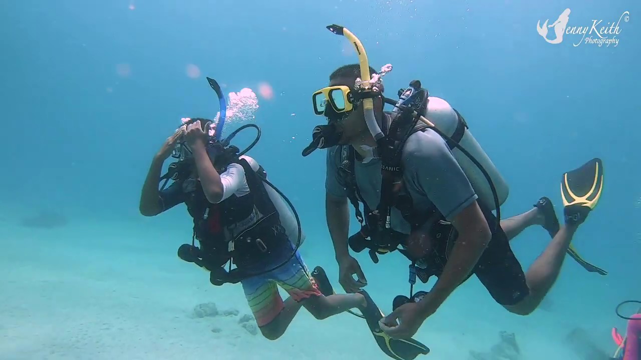Aquarium & Swirling Reef of Death, US Virgin Islands, Scuba Diving, St ...
