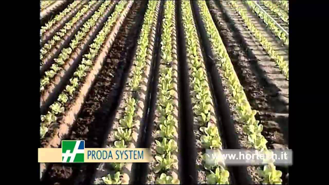 Hortech - Proda System - YouTube