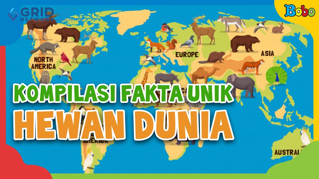 Kompilasi Fakta Menarik Hewan di Dunia - YouTube