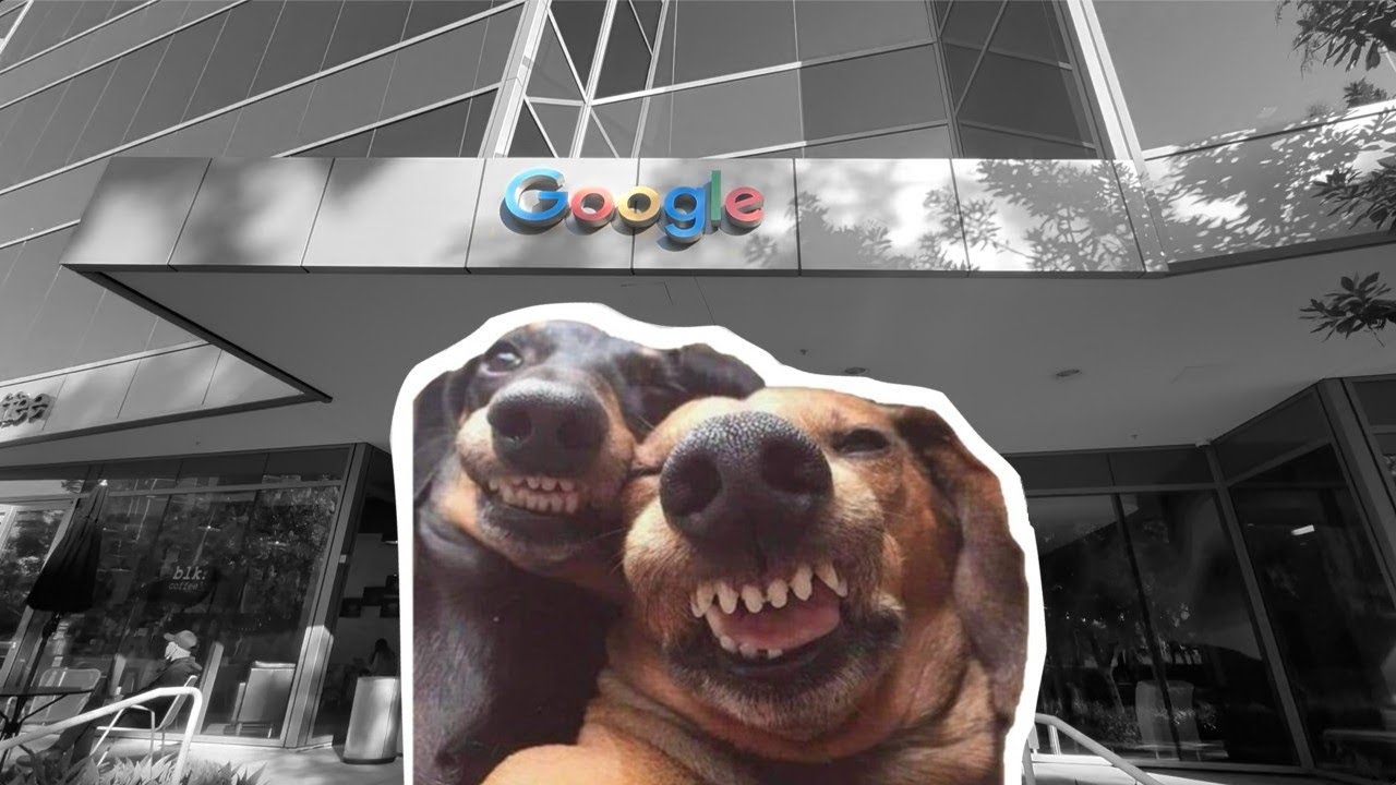 Visiting the Irvine Google Office! - YouTube