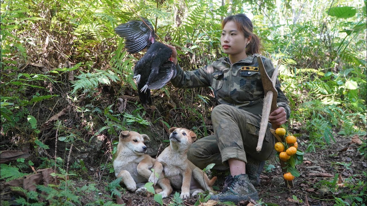 50 days of survival in the forest, wild chicken hunting skills, wild ...