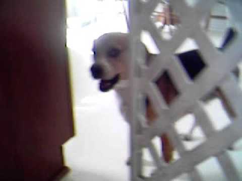 Cosmo vs. Patrick - YouTube