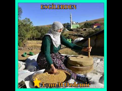 TELLİ TURNAM ŞAŞIRDINMI YOLUNU.