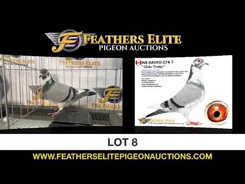 LOFT MANAGER PICKS DAVE OTTAWAY AUCTION - YouTube