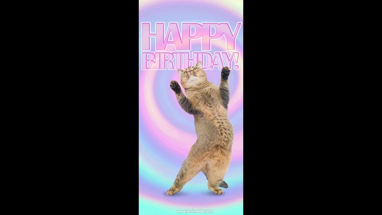Happy Birthday Dancing Cat Gif