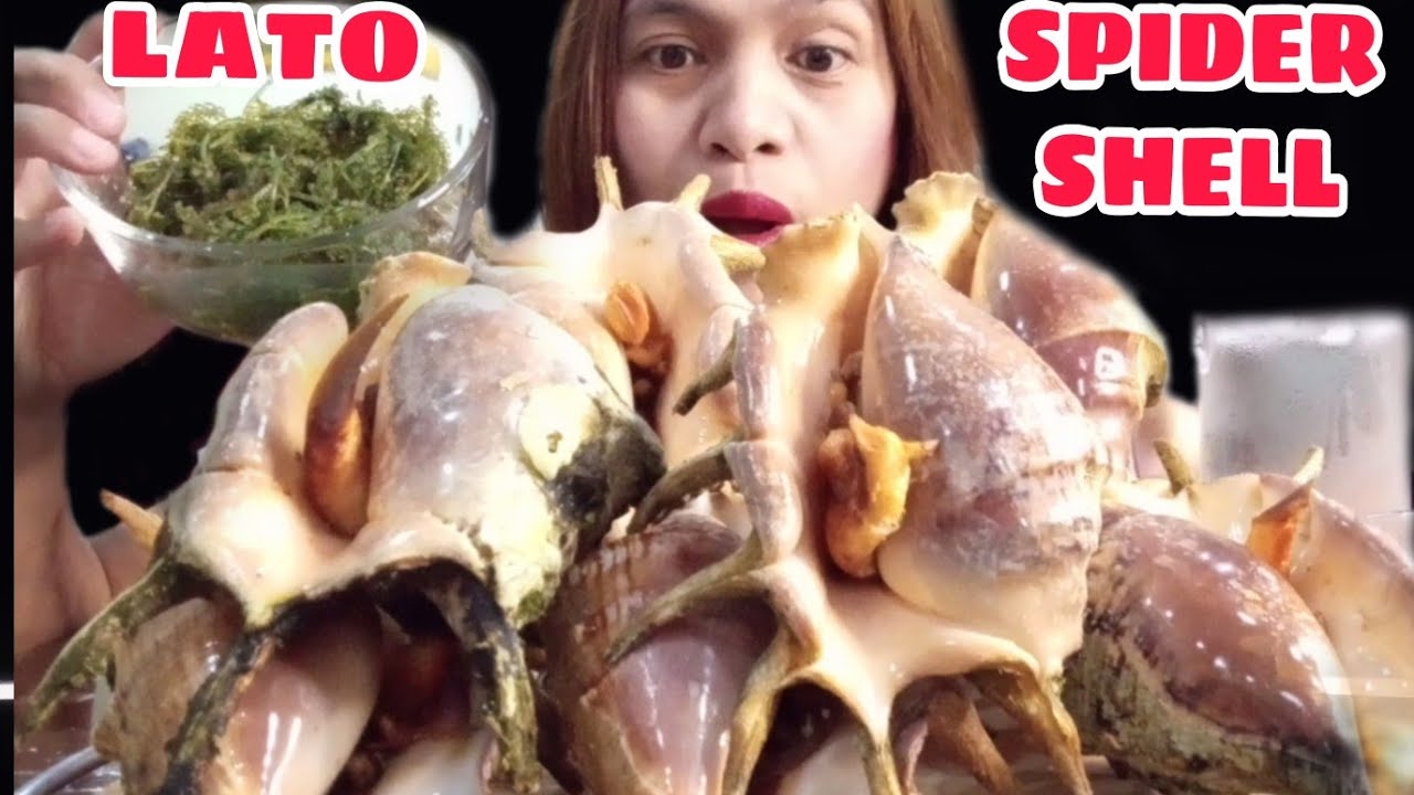 SAANG MUKBANG | SPIDER SHELL| LATO @MaggysCuisine06 - YouTube