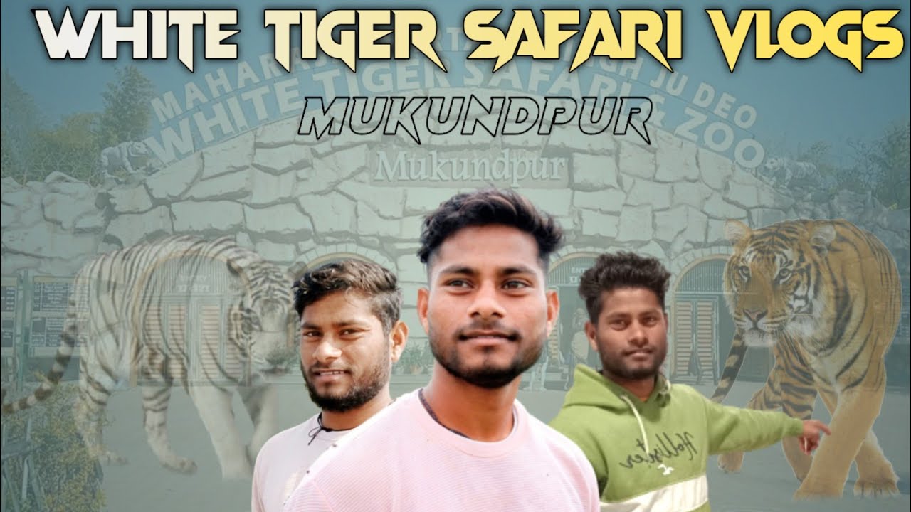 White Tiger Safari Mukundpur || mukundpur white tiger safari and zoo ...