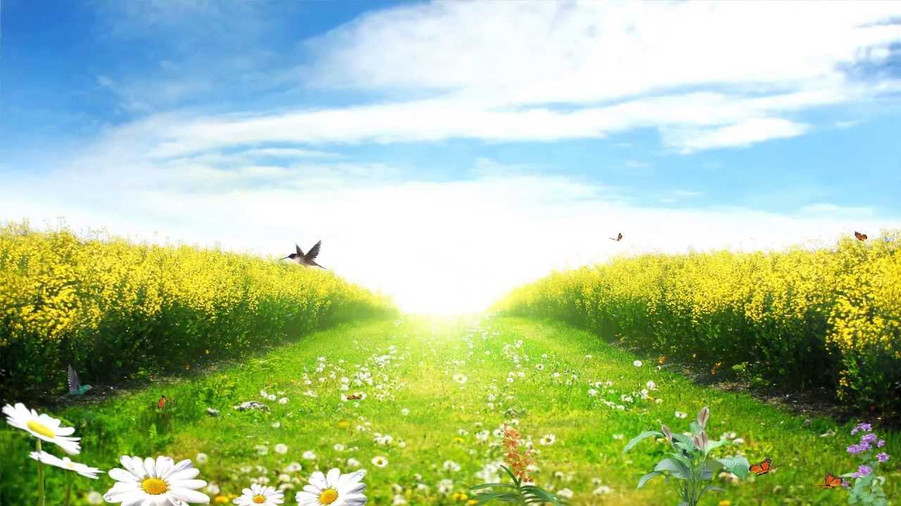 Green Fields Screensaver http://www.screensavergift.com - YouTube