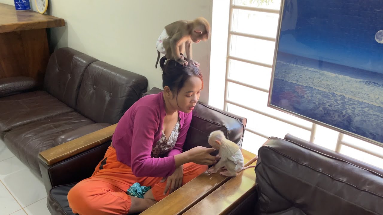 Naughty Baby Tav Tav Climb On mom Head Wanna mom Affections - YouTube