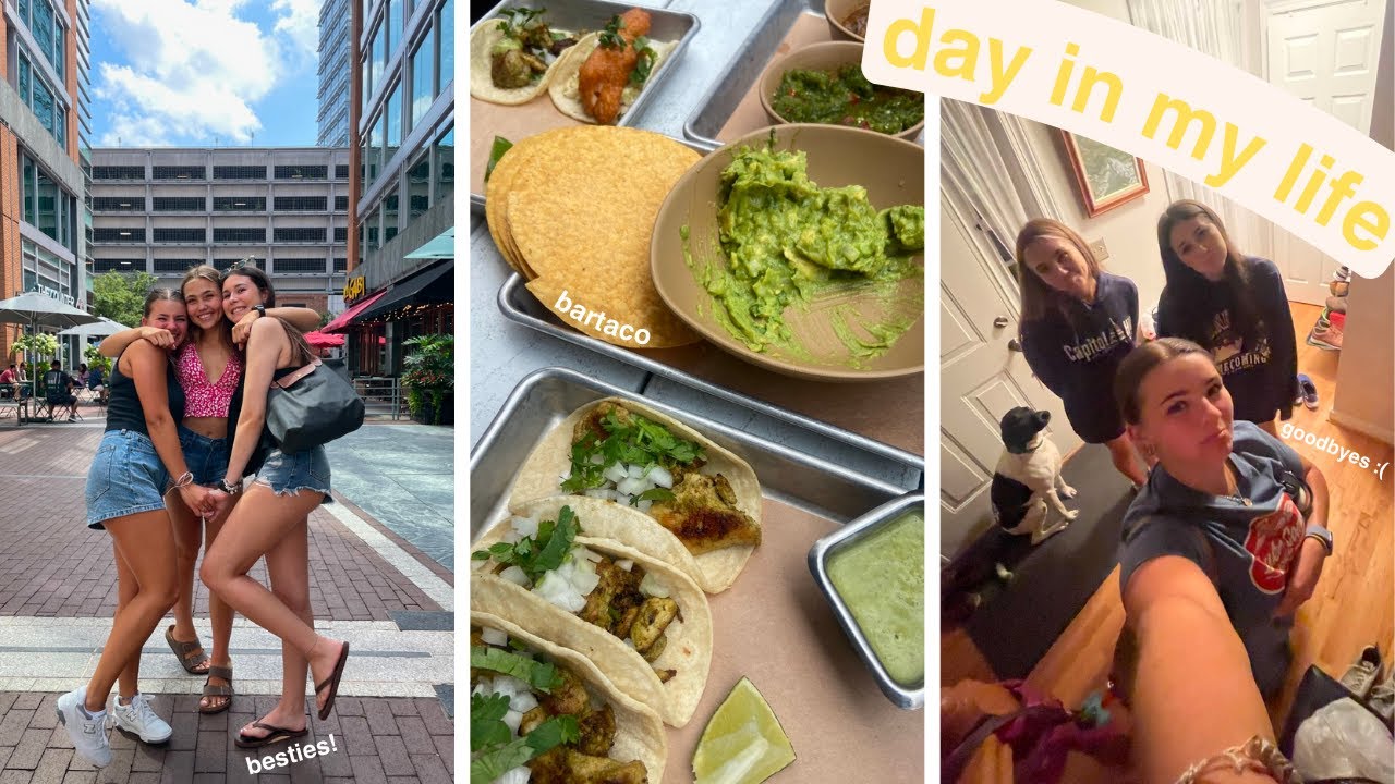 VLOG: day in my life (lunch with friends, cooking dinner, college ...