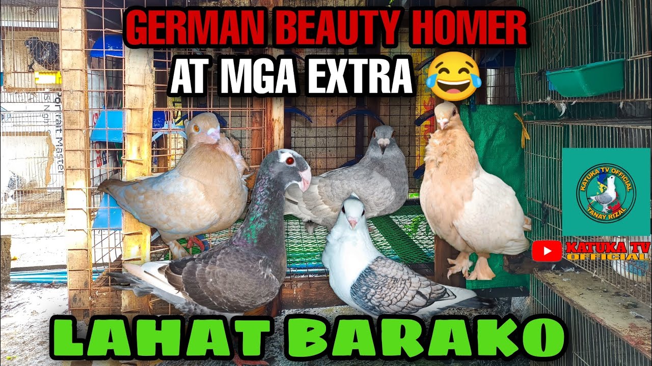 🔴 GERMAN BEAUTY HOMER,BOY TAPANG,AT MGA EXTRA. 🤣😂 BILAD MUNA NG MGA ...