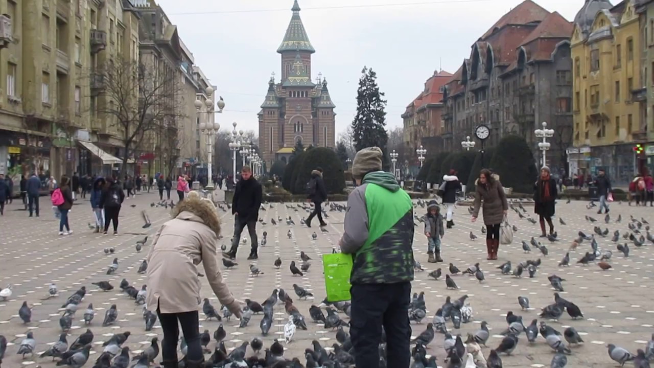 Timișoara, Timis, Romania TRAVEL VIDEO - YouTube