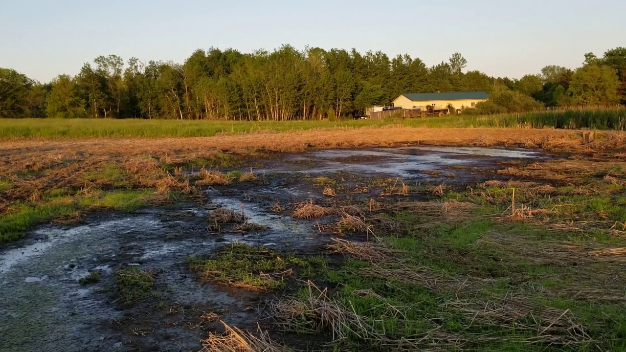 Season 2 of floodable impoundments - YouTube