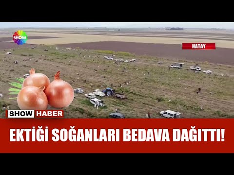 Bedava soğana akın ettiler!