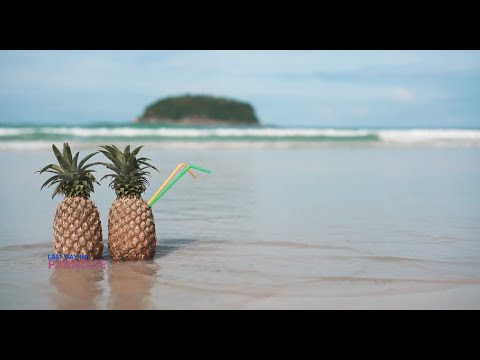 LAST DAYS IN PARADISE. SUMMER BEFORE FALL. COMFORT YOURSELF, LISTEN AND ...