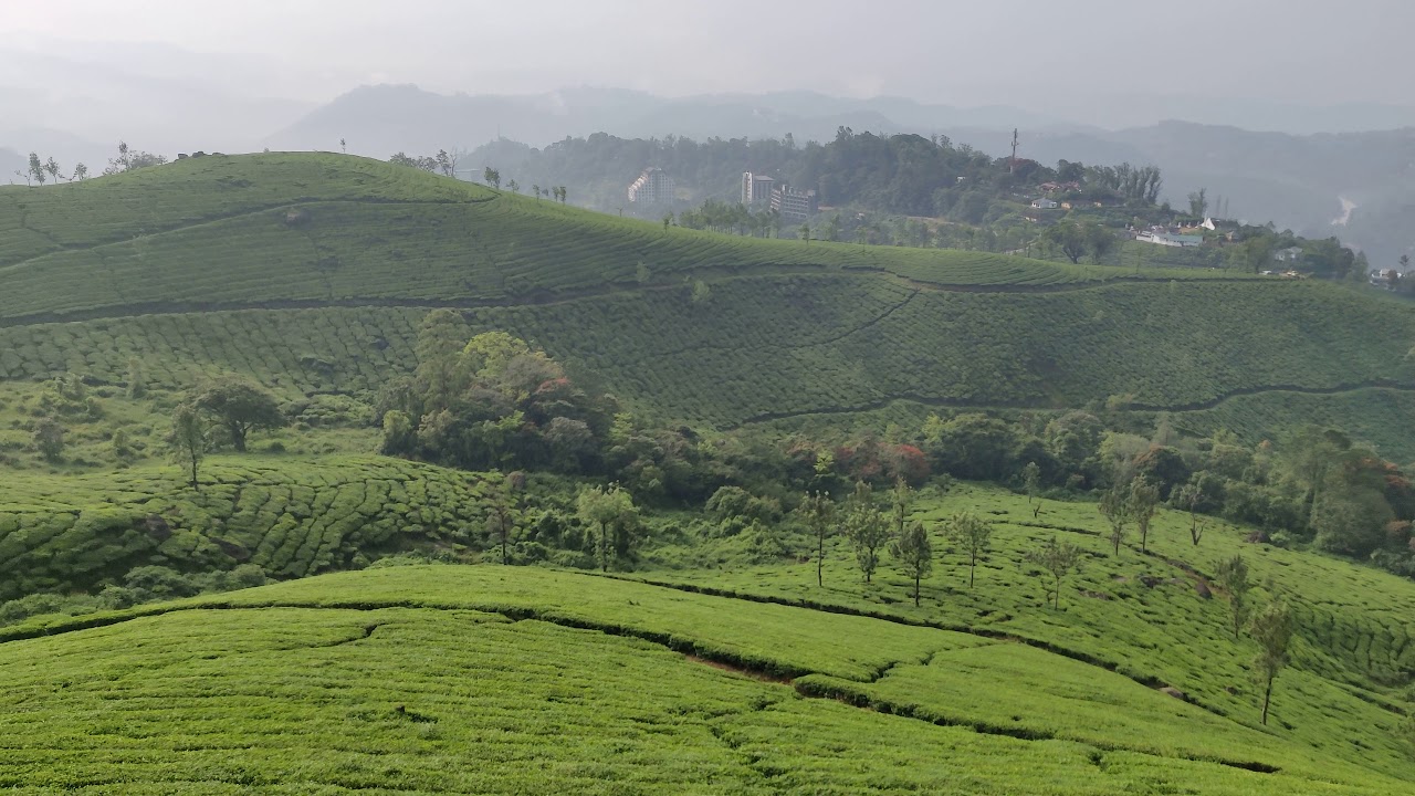 Tea estate | Magic valley | Munnar (Idukki) | 4K UHD (60 fps) - YouTube