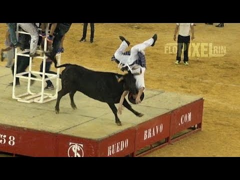 Los Momentos Más Divertidos de las Vaquillas de Zaragoza