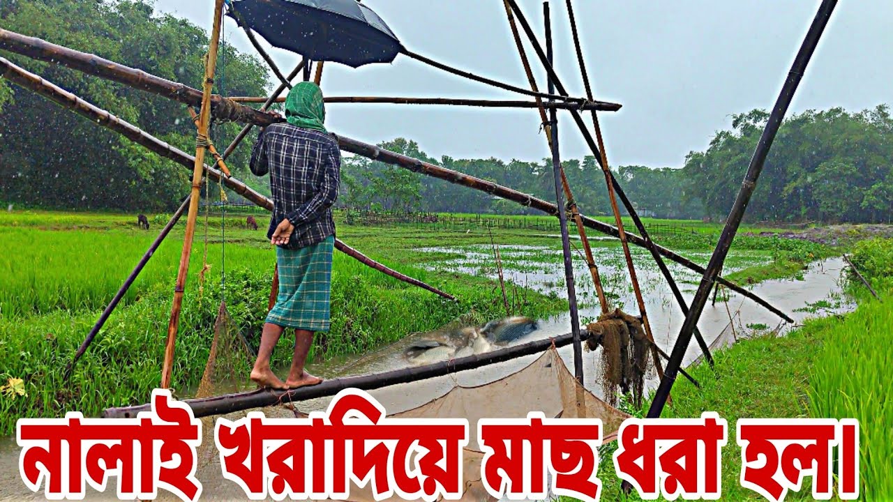 fishing video || village fishing video||Elsa fishing video in ...