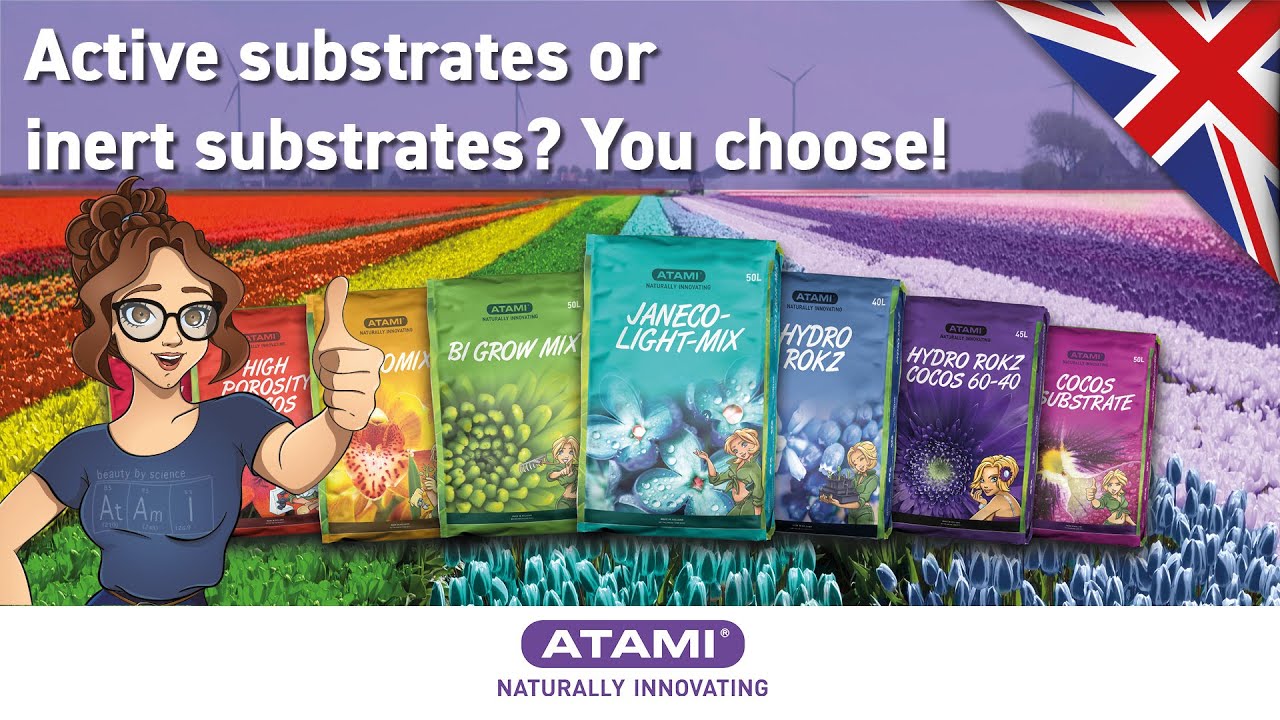 What are the differences between an inert and an active substrate? - YouTube