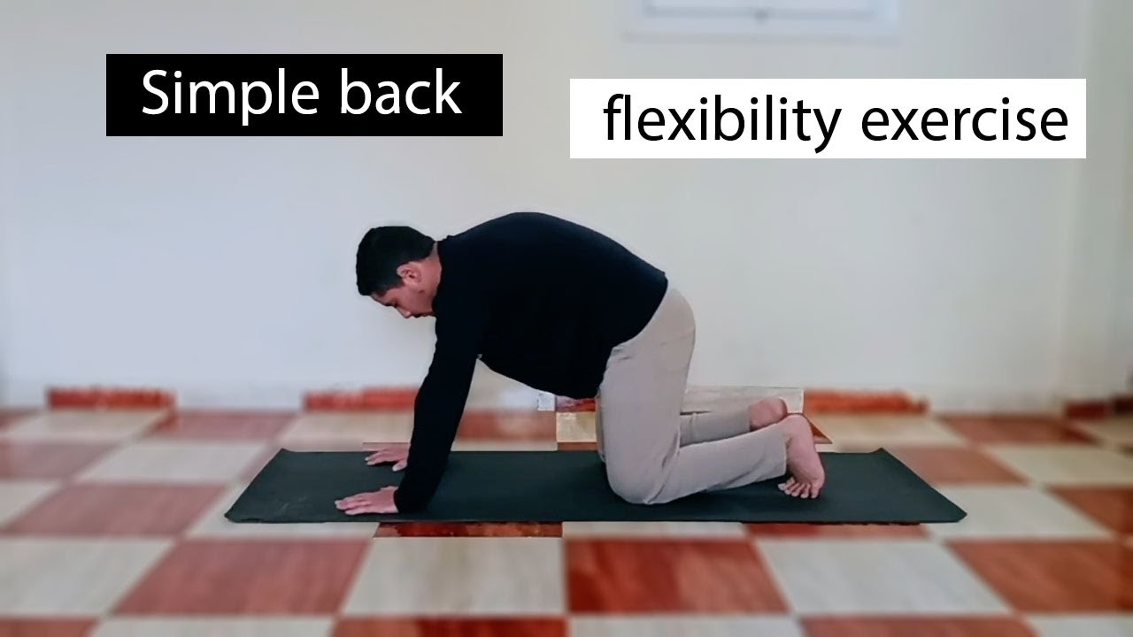 Simple Back Flexibility Exercises to Reduce Pain and Improve Mobility ...