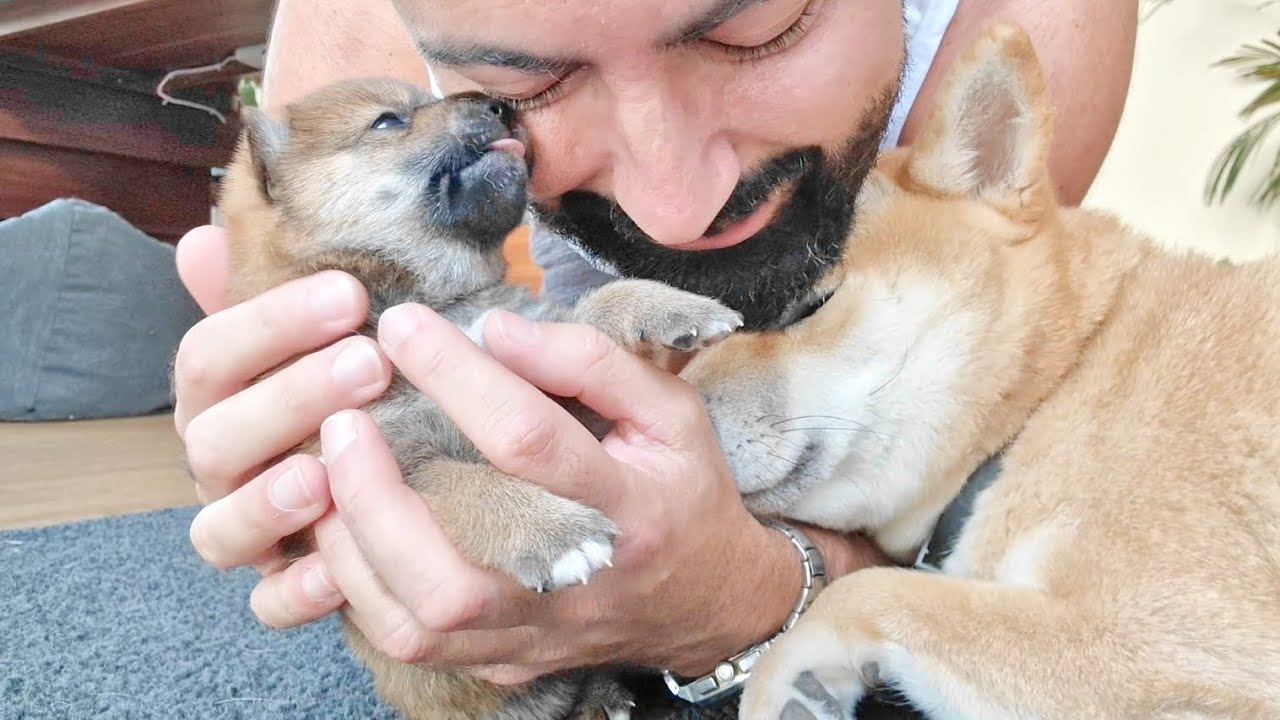 his 1st kisses to Hooman 😘🥰 - YouTube