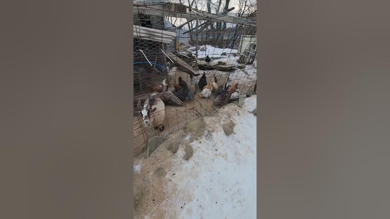 My extended family. - YouTube