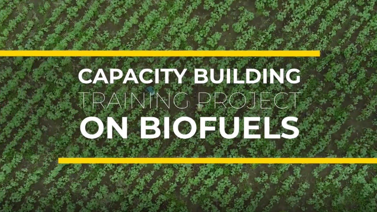 Capacity Building Training Project on Biofuels by IRENA & ENI - YouTube