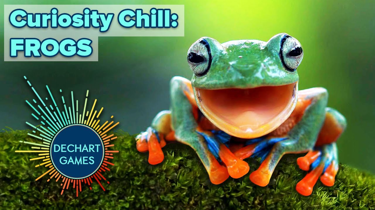 Curiosity Chill: Frogs! w/ Bryan & Amelia of Dechart Games - YouTube