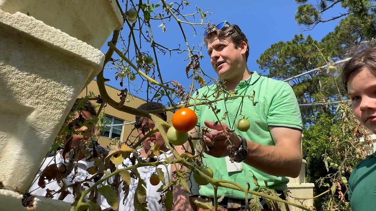 Thank a Teacher: Brent Fulmer from Pine Jog Elementary - YouTube