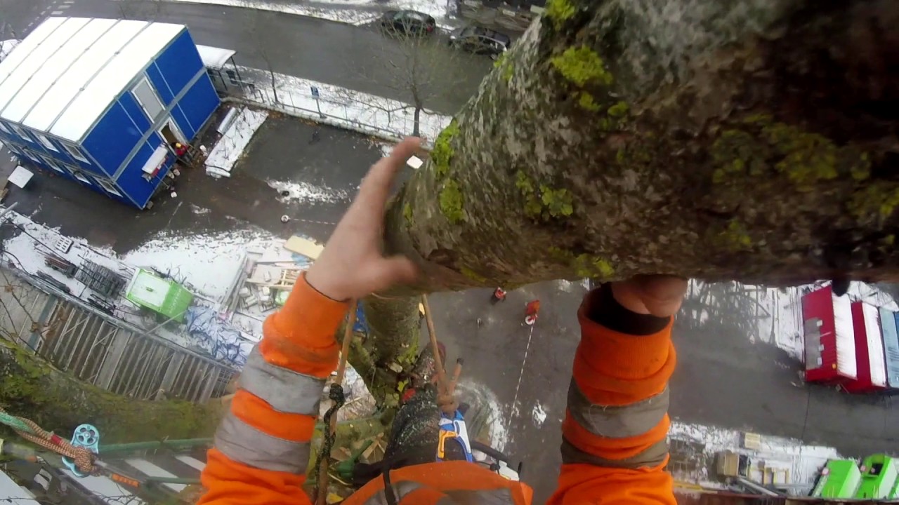 Poplar Dismantle in Tensta, Stockholm by Tom Moseley - YouTube