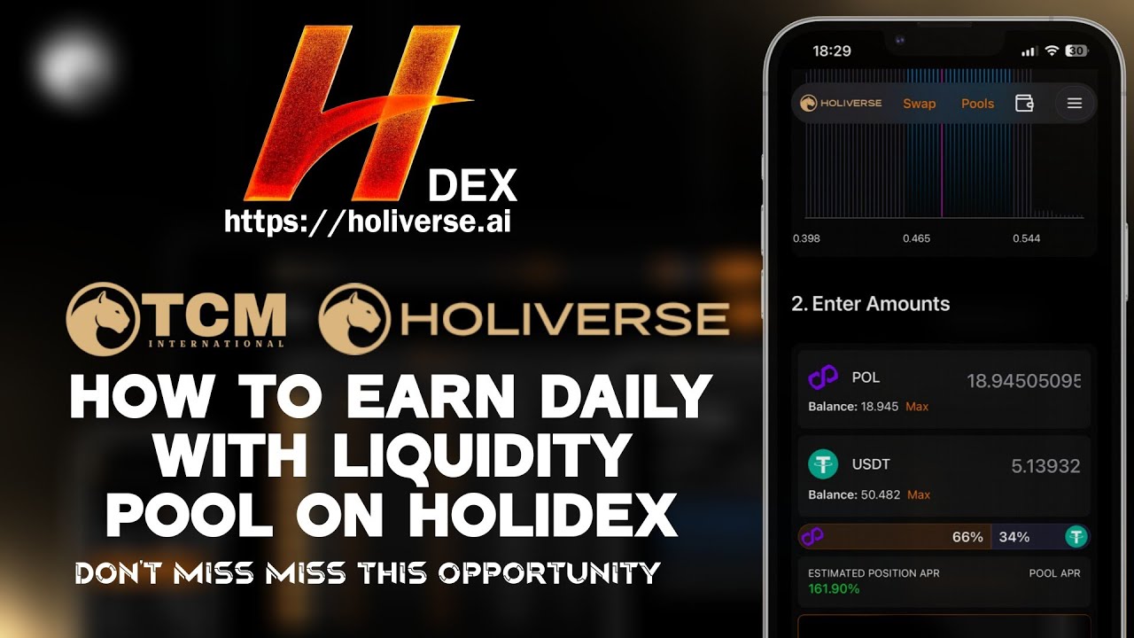HOW TO EARN DAILY WITH LIQUIDITY POOL ON HOLIDEX..🤝🔥 - YouTube