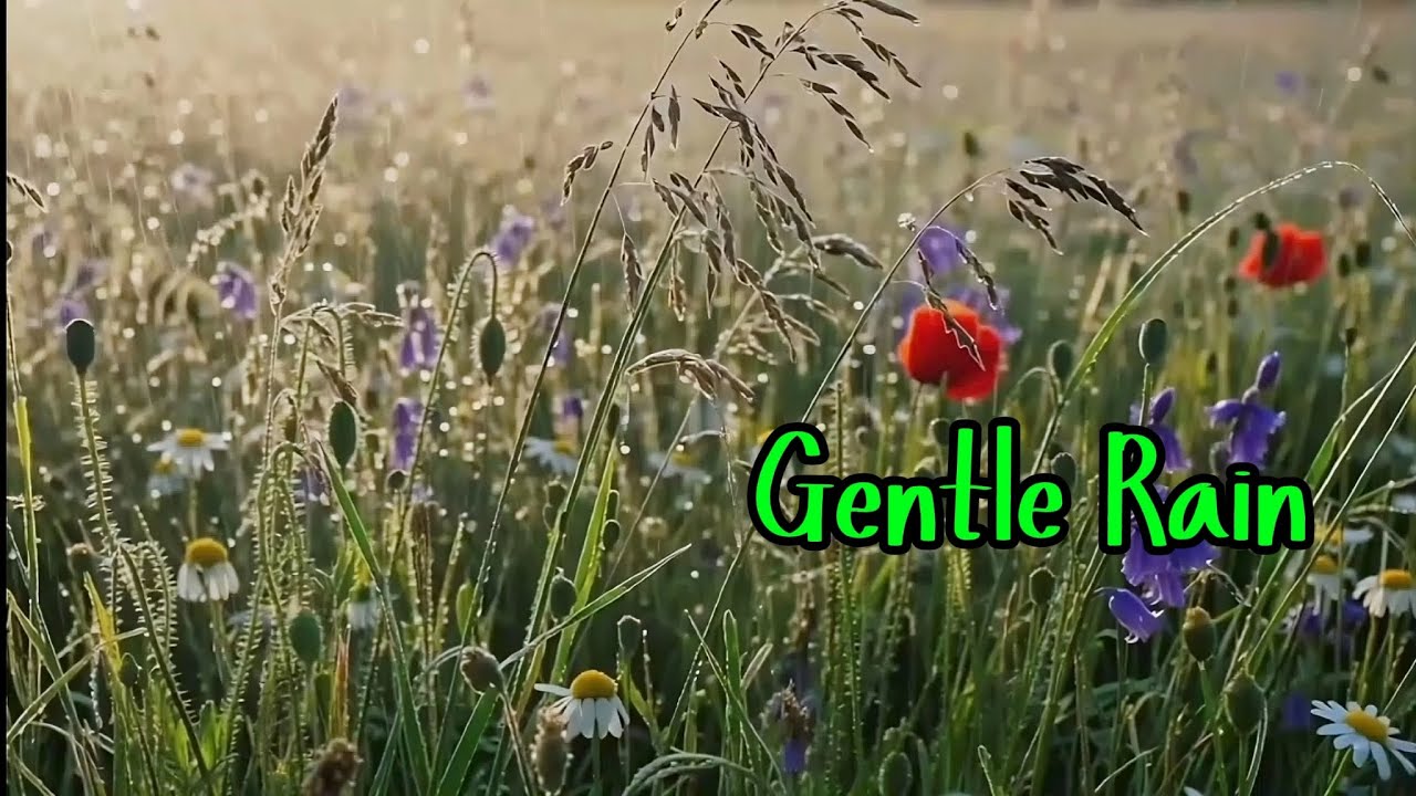 Calm Rainfall in Nature Perfect Sounds for Meditation & Rest - YouTube