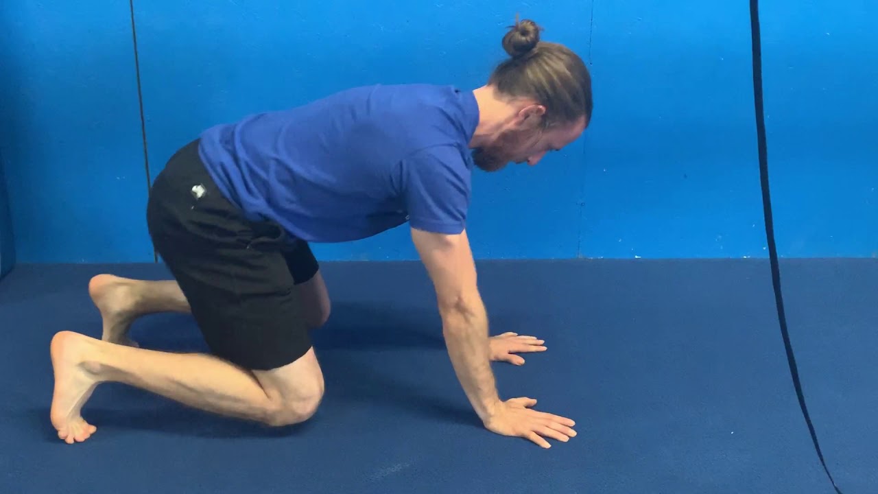 Static beast crawl - YouTube