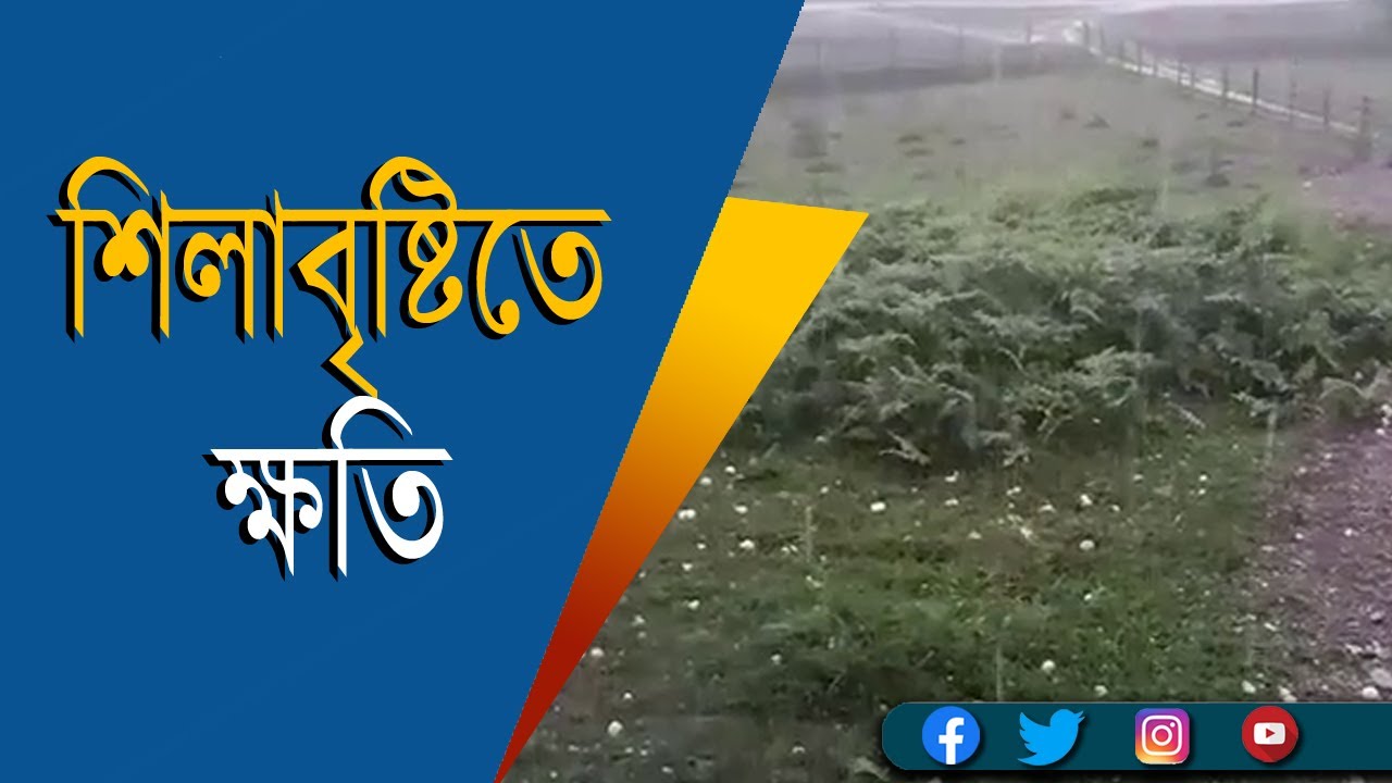 Huge damage due to hail in Madarihat Birpara block-শিলাবৃষ্টিতে ক্ষতি ...