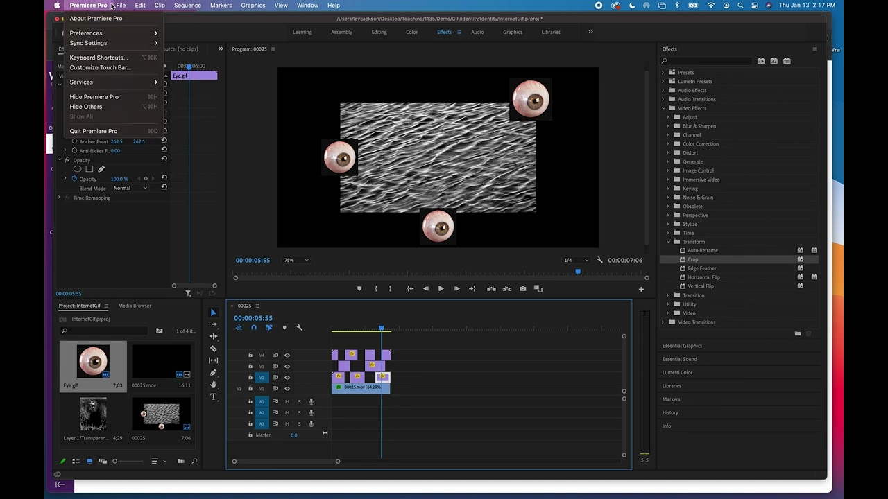 Adobe Premiere Pro Gif Tutorial (Extras) - YouTube