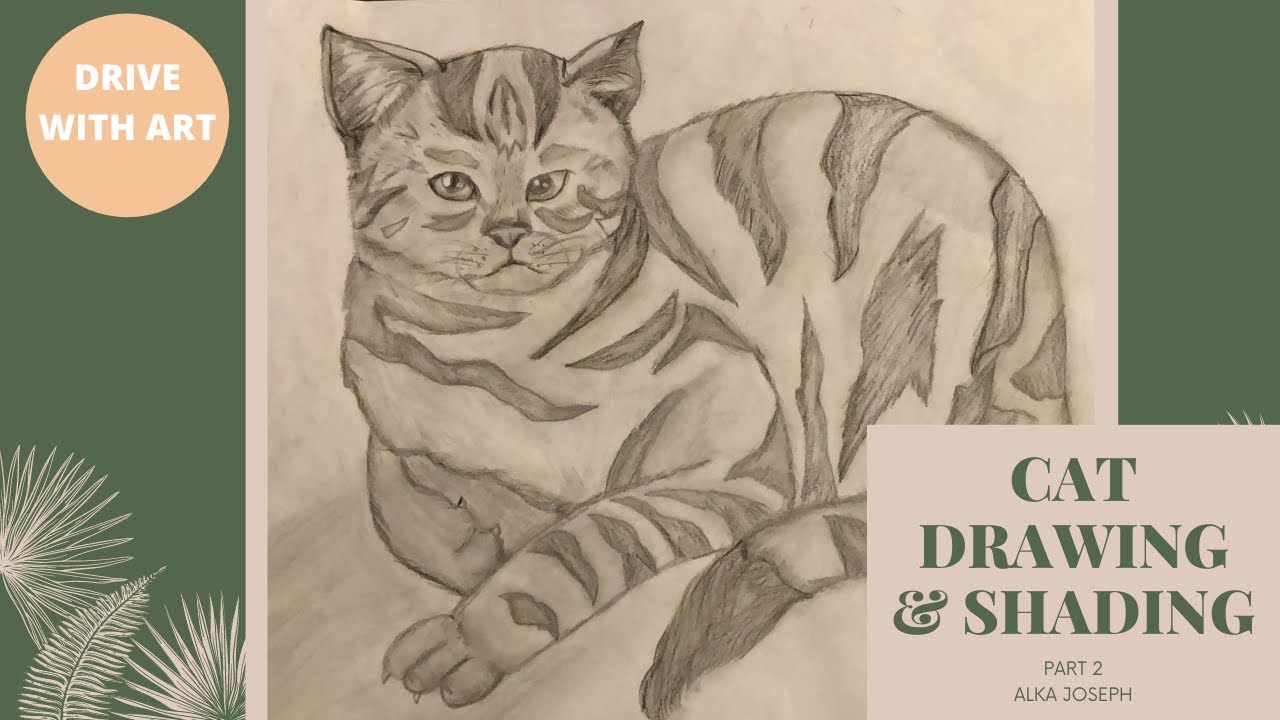 Cat Drawing 2 | Easy Pencil Drawing & Shading | PART(2) | Alka's ...
