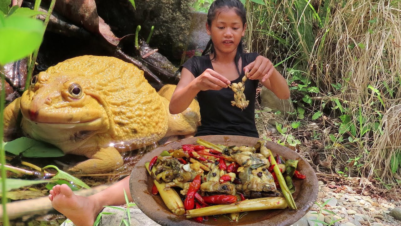 Yummy Cooking Frogs Spicy with Hot Chili & Eating food in Forest - YouTube