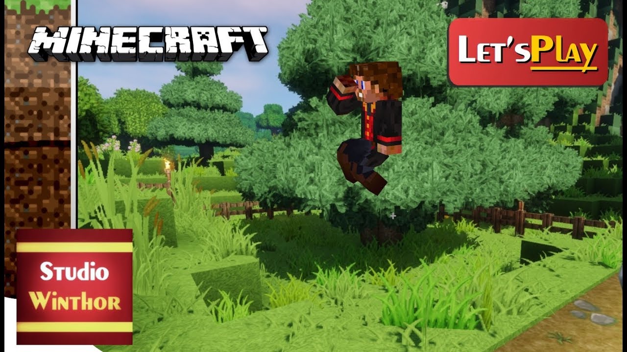 Let's Play - Minecraft || Die Theorie der floralen Penetration || 010 ...