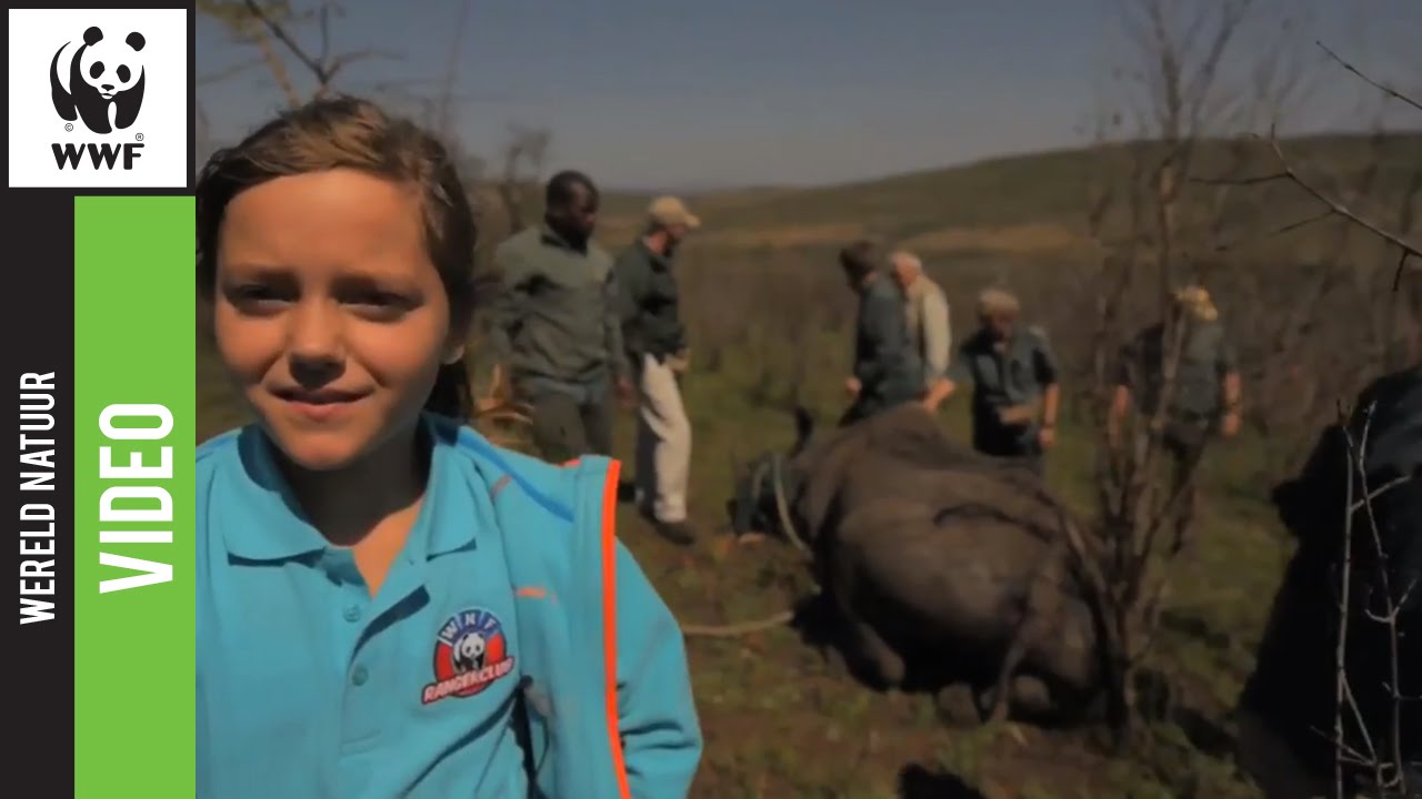 Reisdagboek van de neushoornreis van de jonge WNF-Ranger Chiara - YouTube